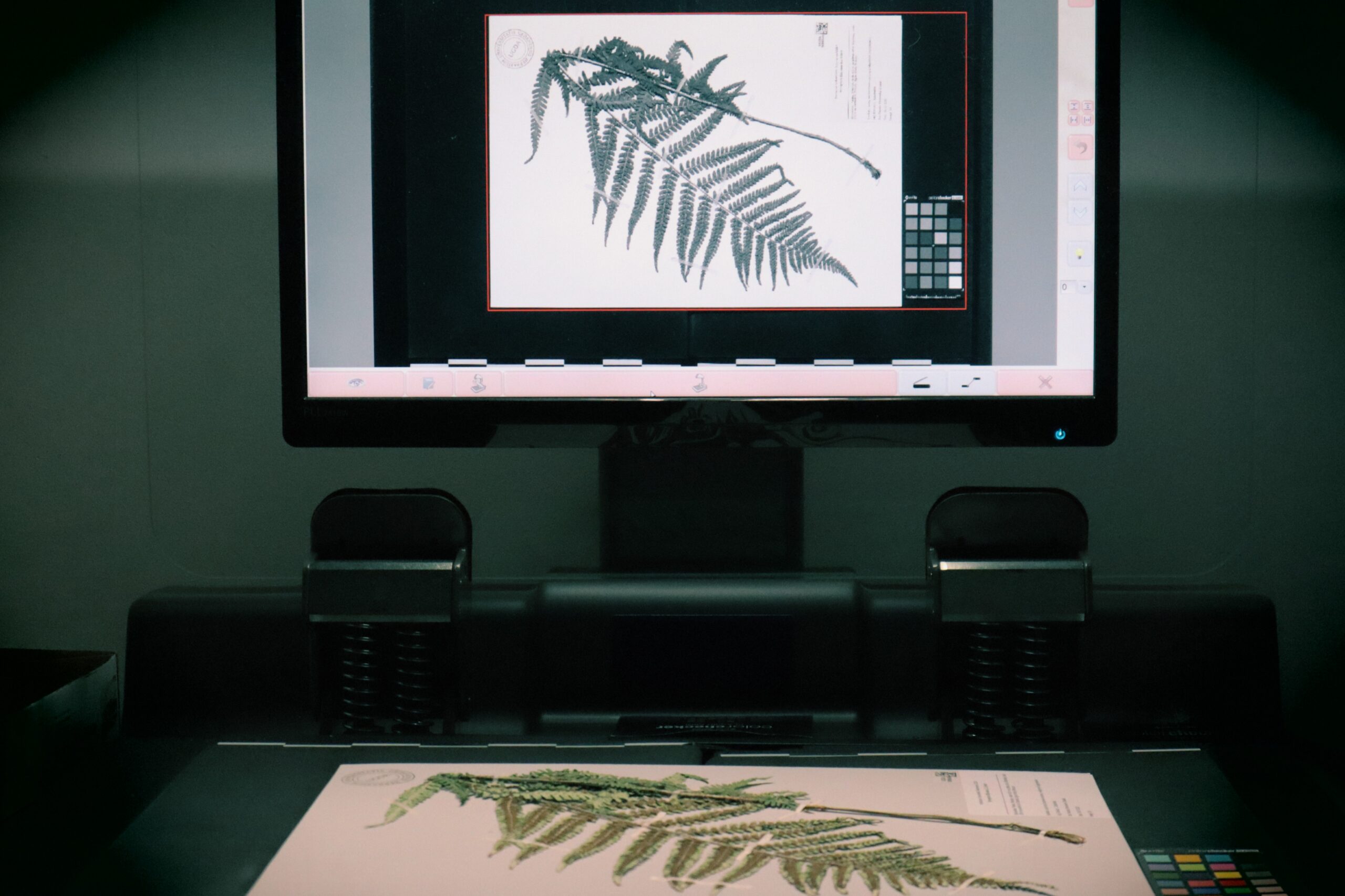 Virtual herbarium - Zielnik Uniwersytetu Gdańskiego